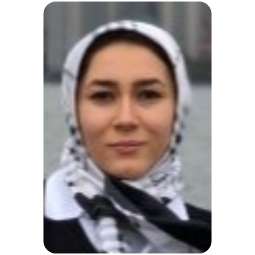 iHARP Research Assistants – iHARP: NSF HDR Institute for Harnessing ...